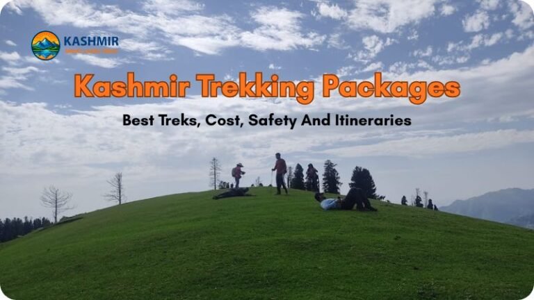 Why KGL Is India’s Most Beautiful Trek - Kashmir Great Lakes Trek