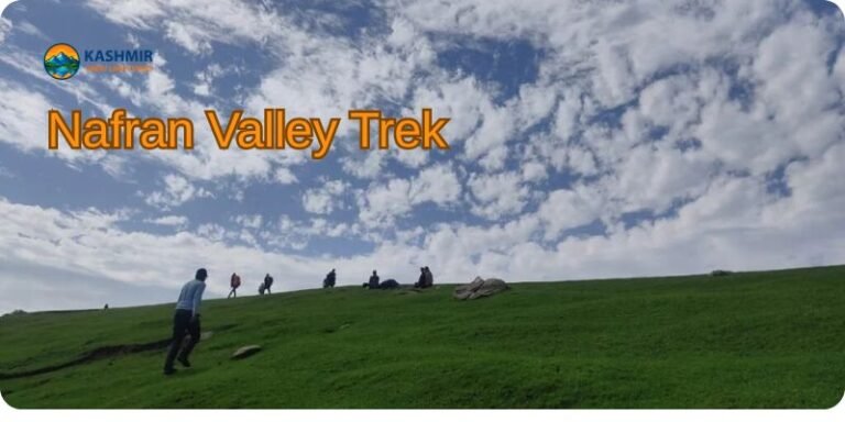 Nafran Valley Trek - Kashmir Great Lakes Trek
